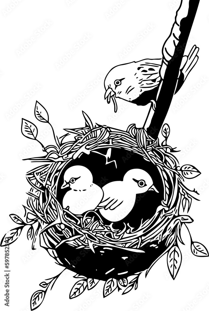 Vogelnest mit zwei Küken. Die Vogel Mutter füttert die Küken mit einem ...