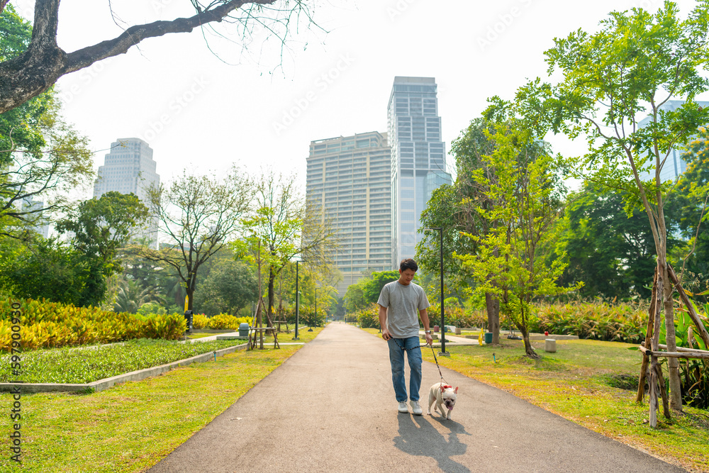 Asian man walking with french bulldog breed at pets friendly dog park ...