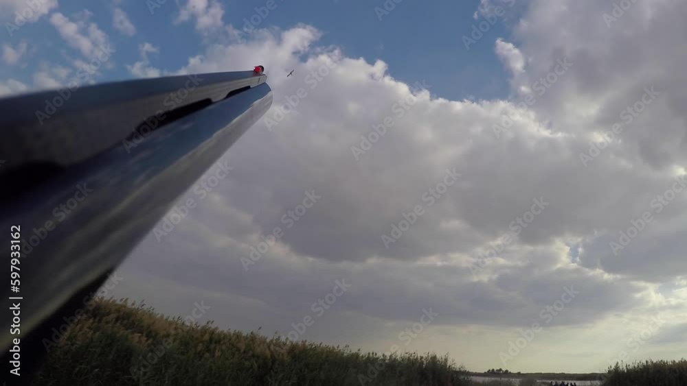 Hunter hiding in tall grass shooting into sky during duck hunting ...