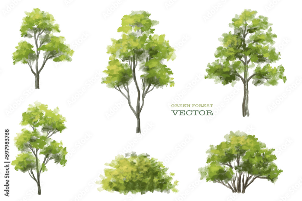 Vector watercolor green tree or forest side view isolated on white ...