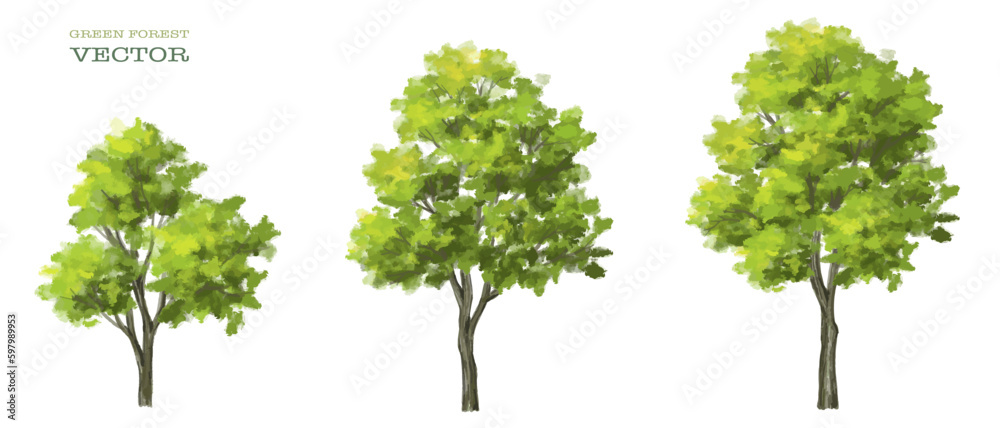 Vector watercolor green tree or forest side view isolated on white ...