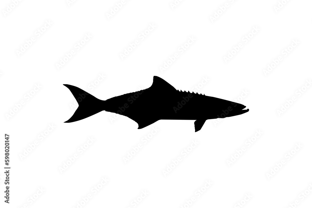 Cobia Fish Silhouette, also known as black kingfish, black salmon, ling ...