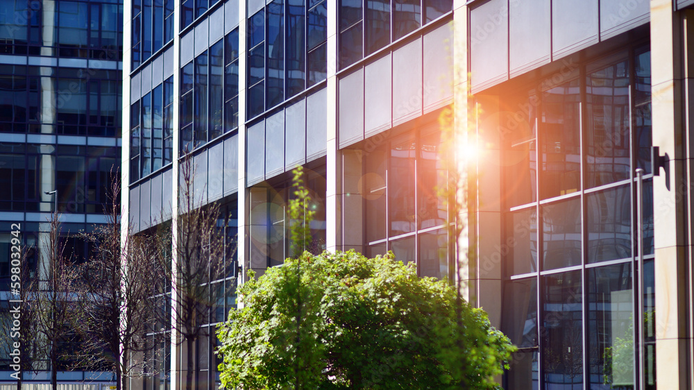 Green tree and glass office building. The harmony of nature and ...