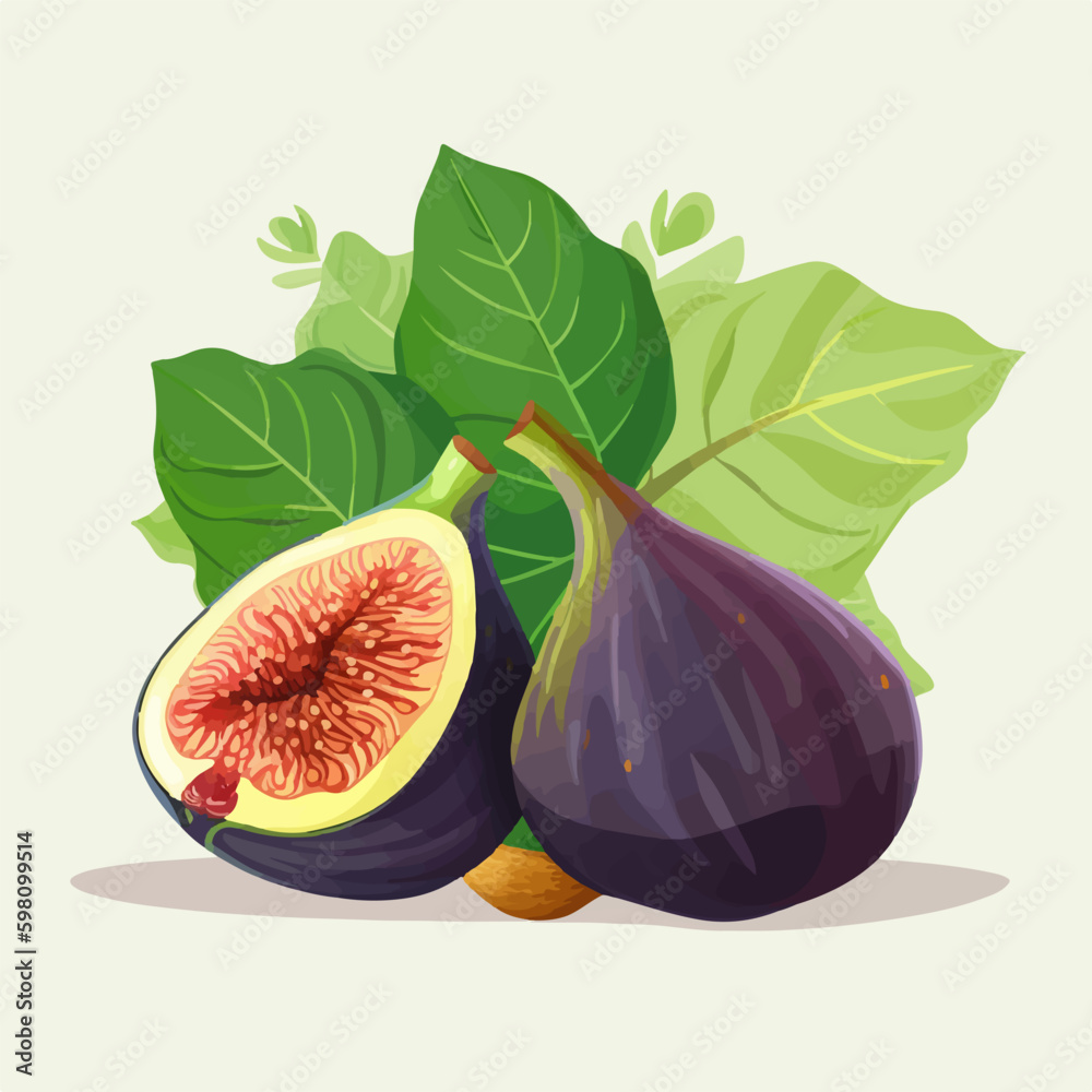 Collection of vector fig illustrations in different colors. Stock ...