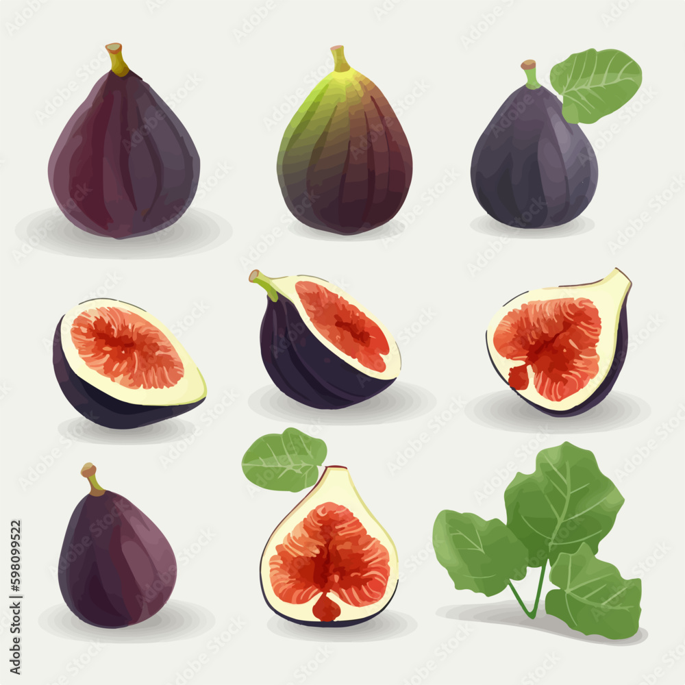 Fig vector illustration with a simple and clean design. Stock Vector ...