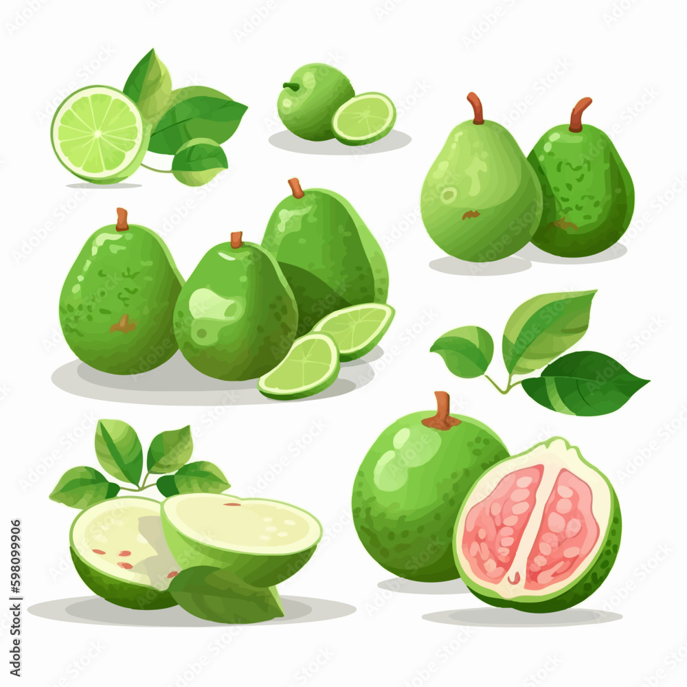 Guava fruit vector illustrations with a bold and vibrant color palette ...