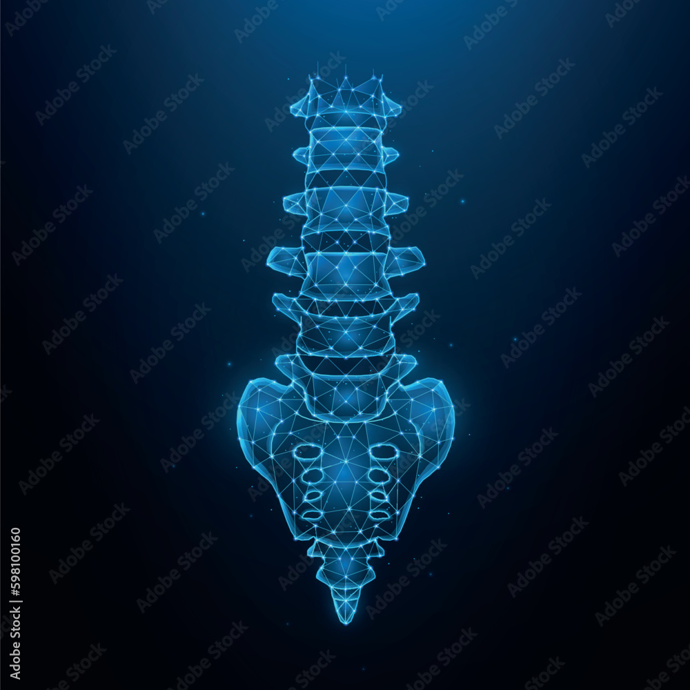 Polygonal human spine vector illustration isolated on dark blue ...