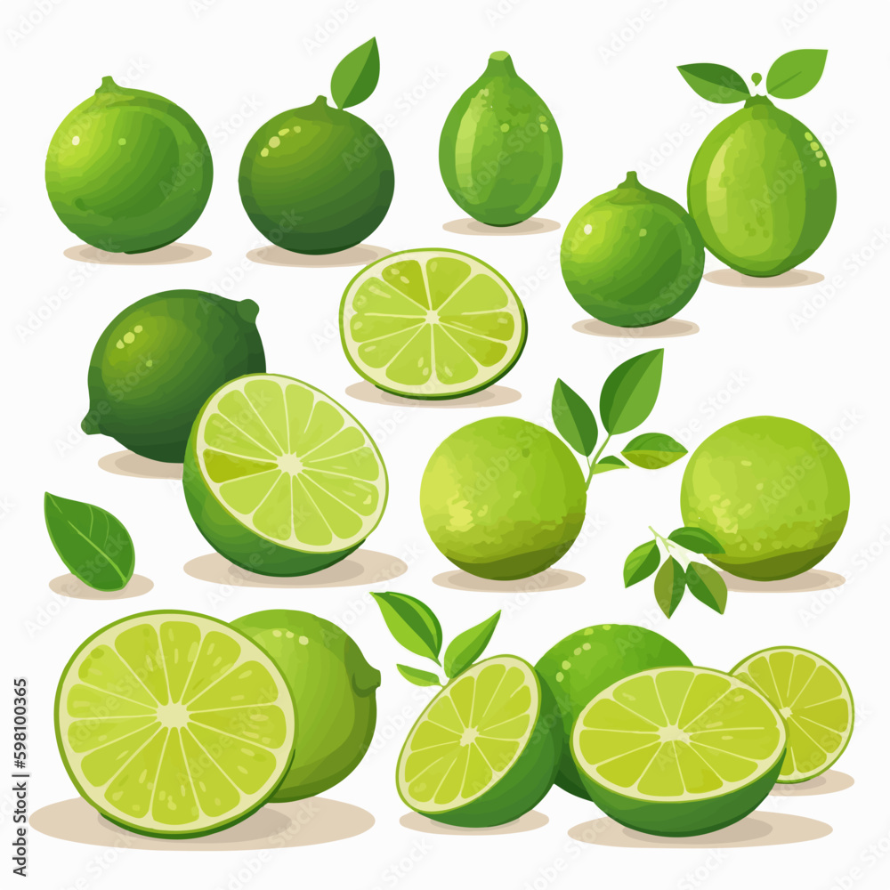Lime fruit vector pack for your design projects Stock Vector | Adobe Stock