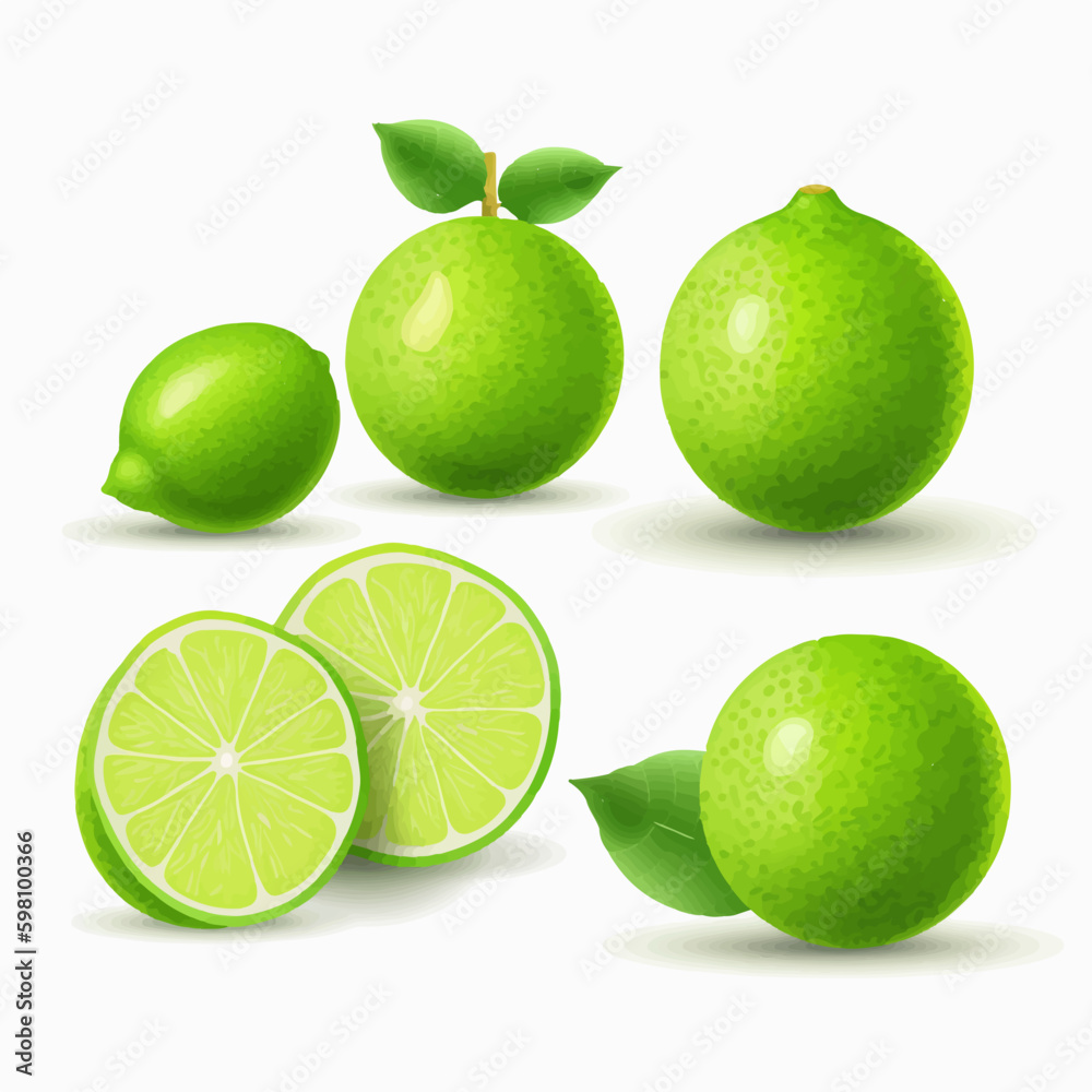 Lime fruit vector set with different poses and angles Stock Vector ...