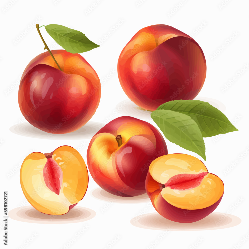 Vector illustration of a juicy nectarine fruit with a water droplet ...