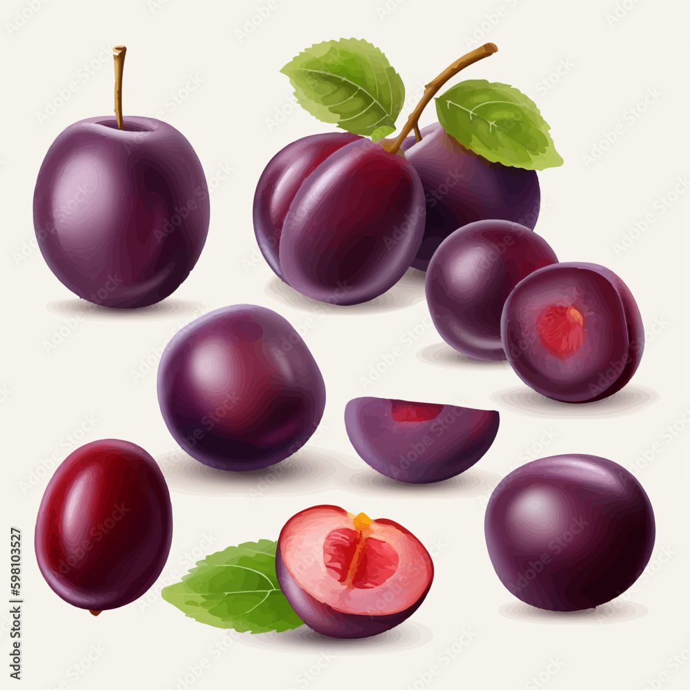 Add a touch of natural elegance to your designs with these plum vector ...