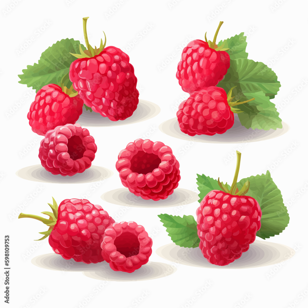 Create eye-catching designs with this set of raspberry vector images ...