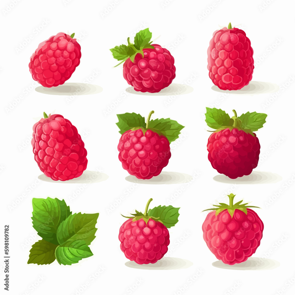 Vector illustrations of raspberries that will make your designs stand ...