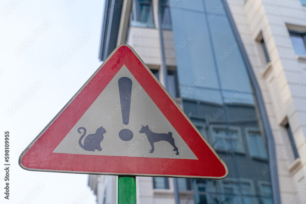 Road sign triangular red-white with the image of animals cats and dogs ...
