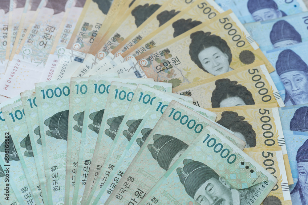 currency of Korea which is used to represent value in exchange and the ...