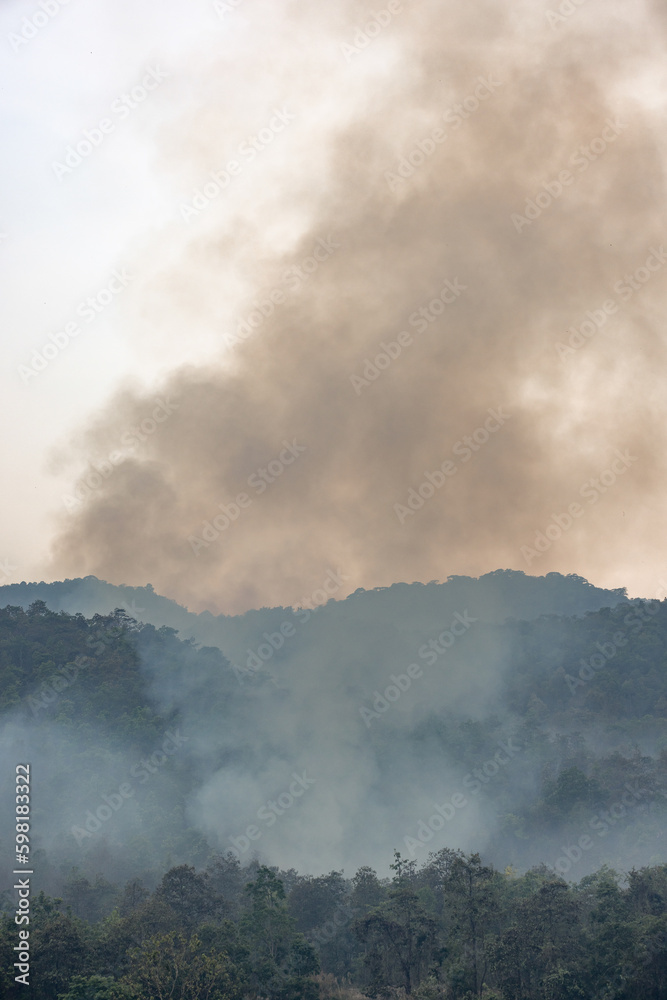 Poster Climate change, Wildfires release carbon dioxide (CO2) emissions ...