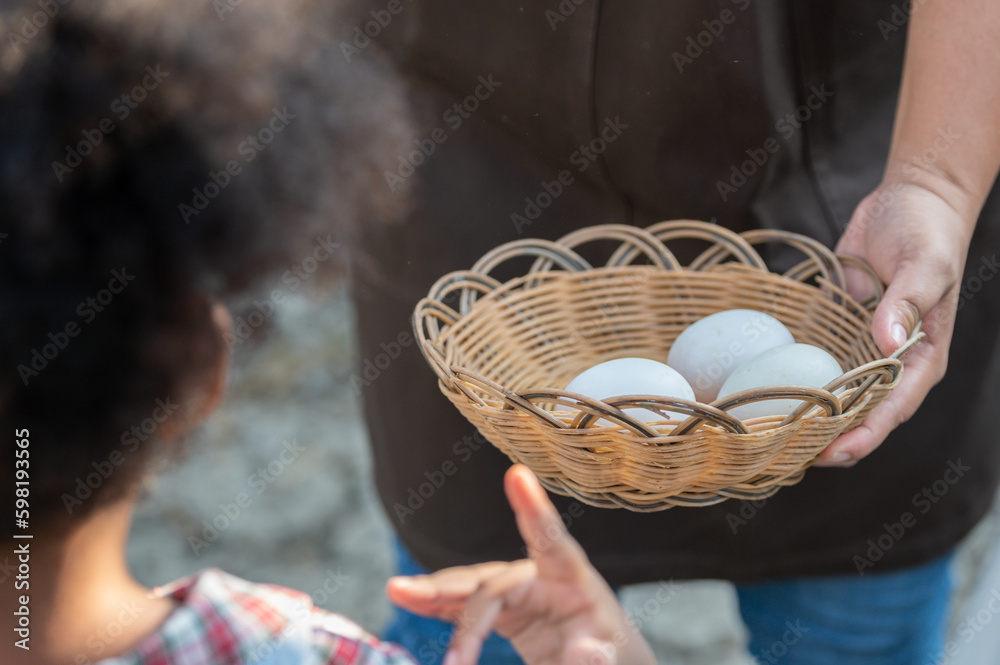 farmer family and daughter afro hair black skin holding basket of collect duck egg in plantation ...
