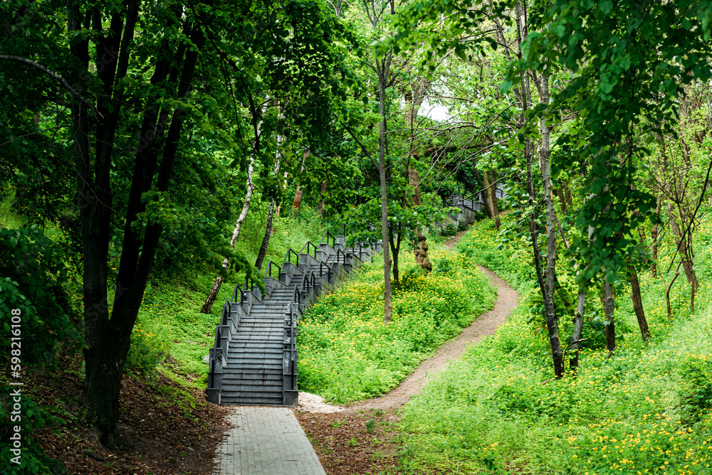 two paths of nature, stone stairs, descent in the forest, a trodden ...
