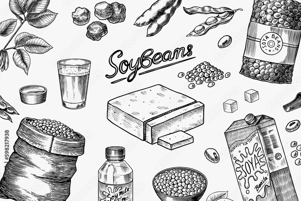 Soya beans. Milk and tofu. Soybean sketch. Pod on plant. Nuts and seeds ...