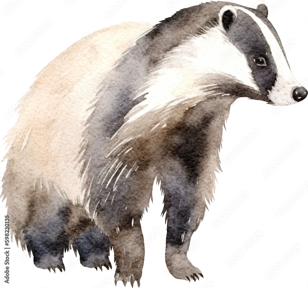 Badger illustrations created with Generative AI technology Stock ...