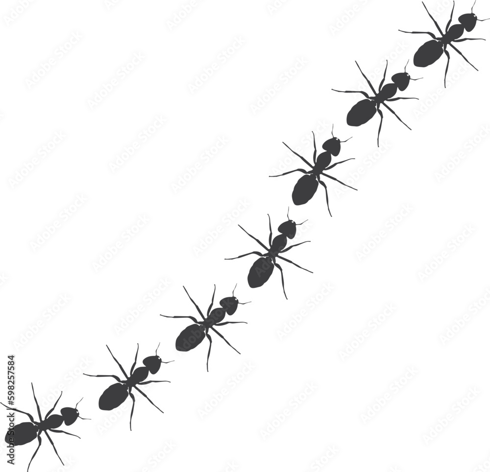 Insect Insects ant ants emmet pismire banner Vector icon icons sign ...