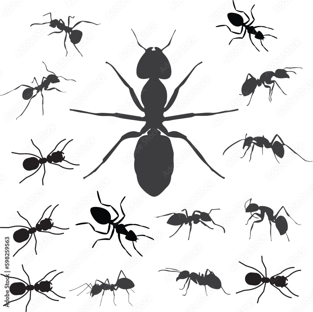 Insect Insects ant ants emmet pismire banner Vector icon icons sign ...