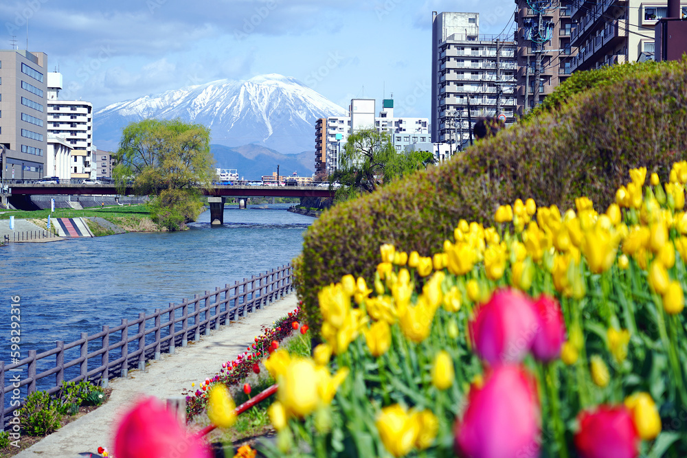 Beautiful morioka city view with Mt. iwate in the background and the Kitakami river flowing ...