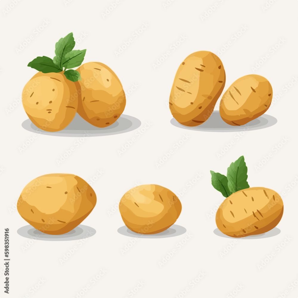 Collection of potato vectors with varying shapes and sizes for diverse ...