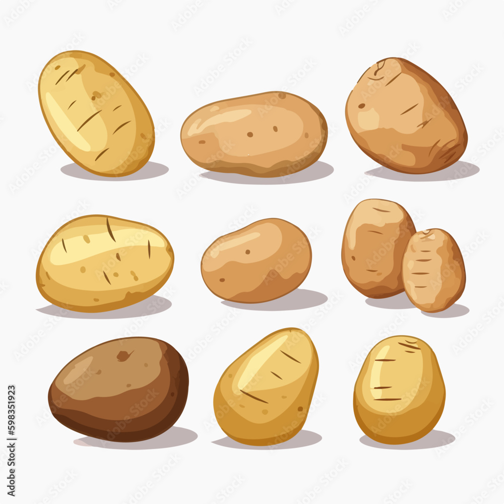 Vector image of a potato with a rustic texture for a farmhouse ...