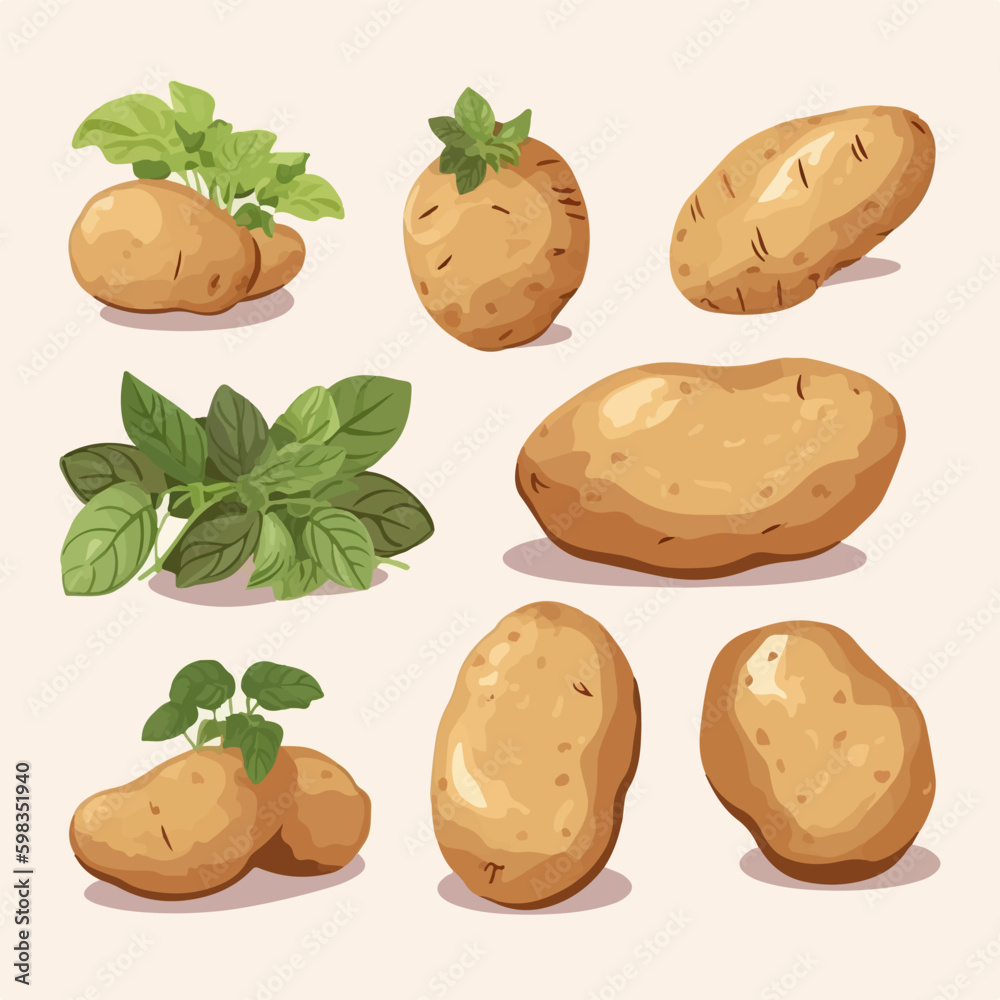 Vector illustration of a potato with a subtle gradient for depth and ...