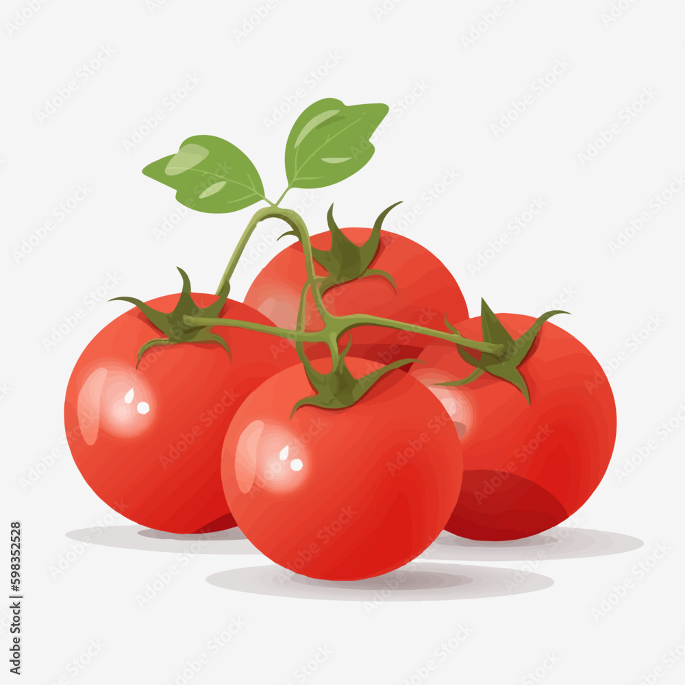 Create a cohesive design with this set of tomato vector graphics. Stock ...