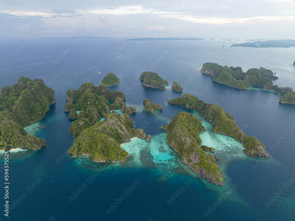 Foto de Coral reefs surround the dramatic limestone islands that have ...