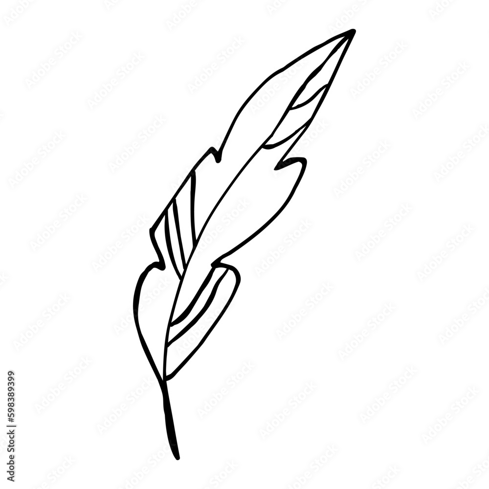 Vector web clipart of the Halloween raven feather. A funny, cute ...