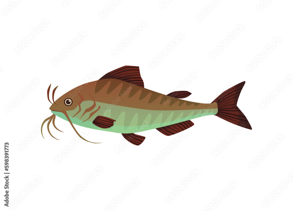 Catfish a freshwater or marine fish flat cartoon vector illustration ...
