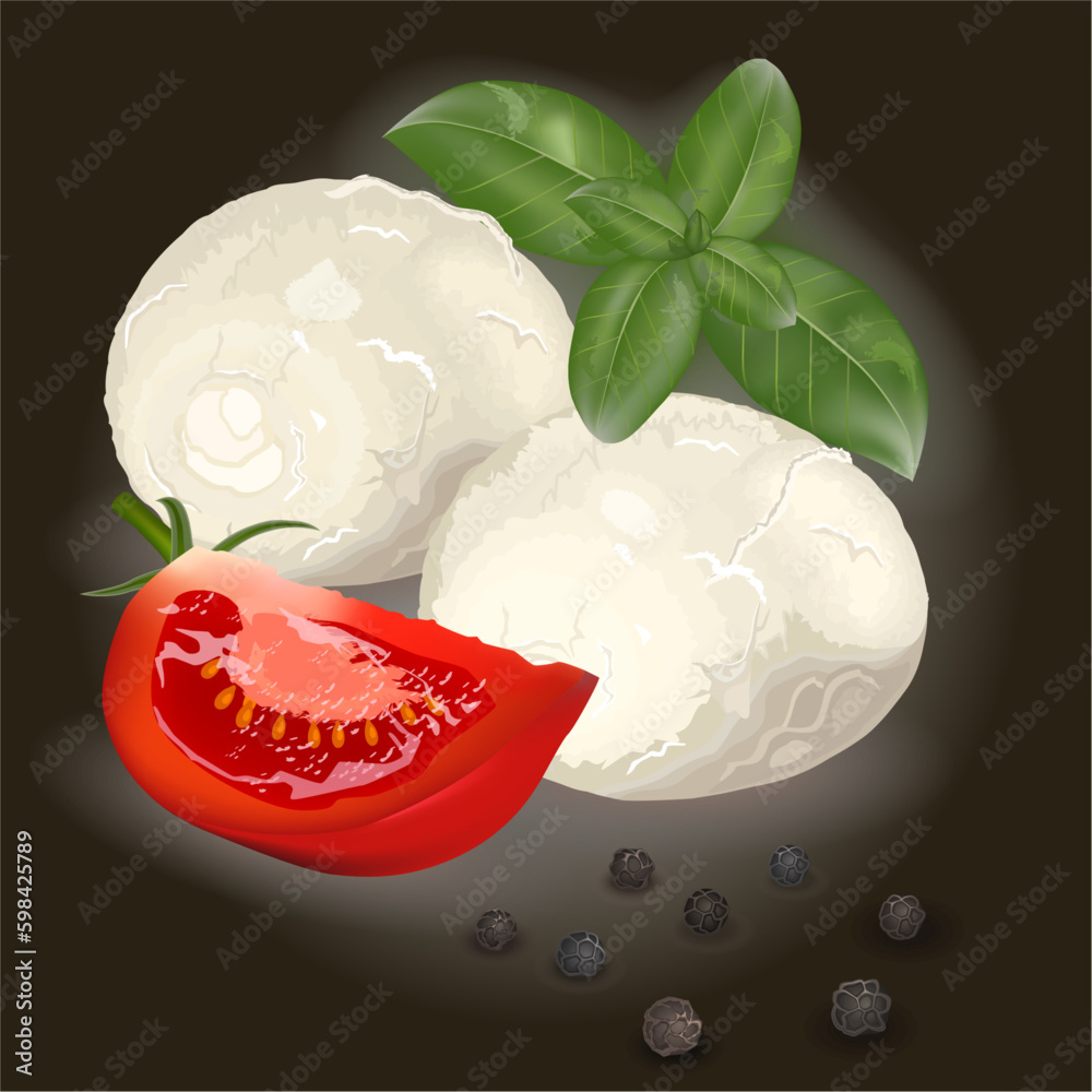 Realistic drawing of Italian mozzarella cheese decorated with basil ...