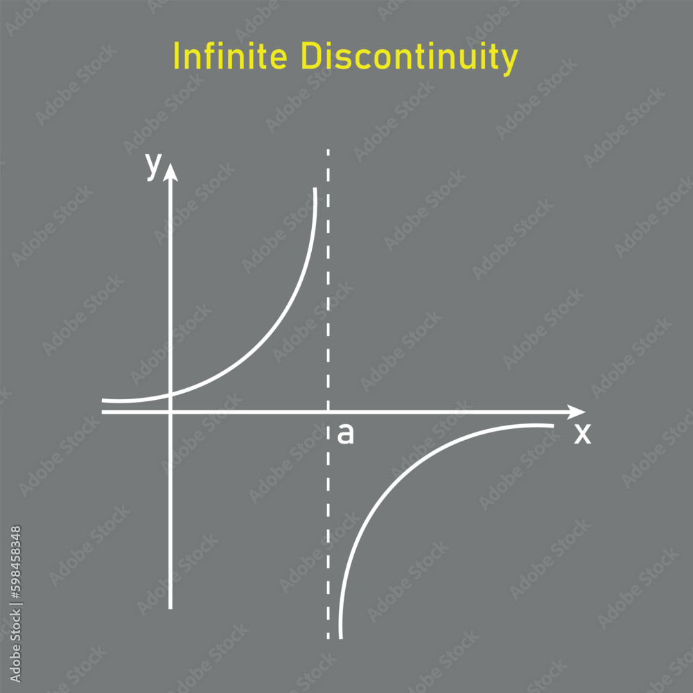 Types Of Discontinuity Of A Function Infinite Discontinuity Limits