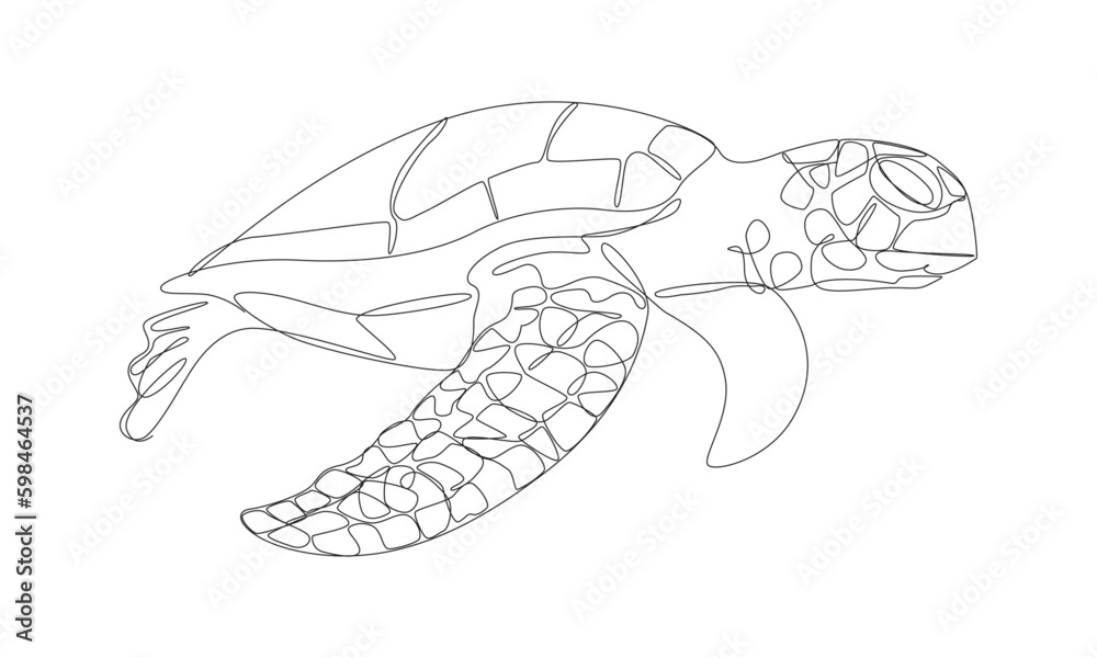 continuous line drawing sea turtle, The long lines are sea turtle ...