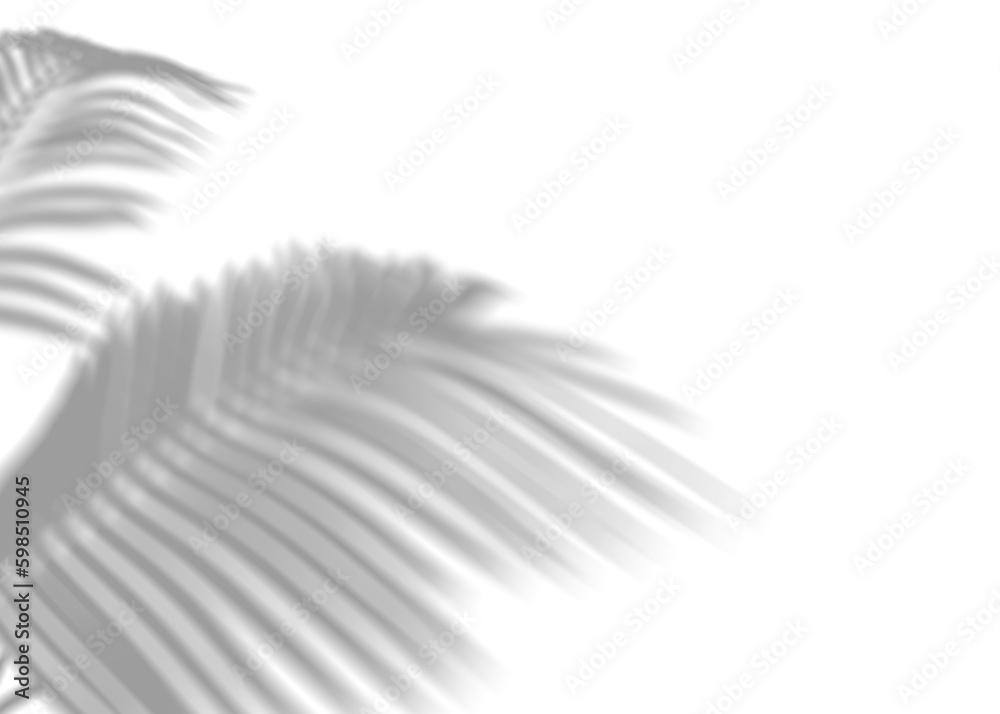 Shadow from palm leaves, overlay effect. Realistic gray shadow on ...