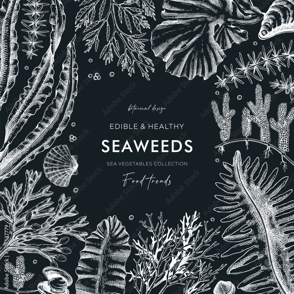 Photo & Art Print Seaweed vector card design on chalkboard, sketched ...