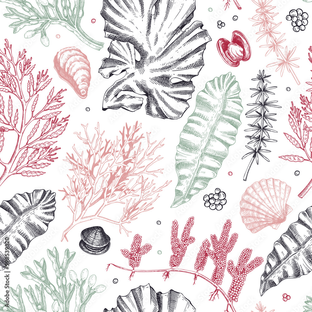 Sea life background in color. Edible seaweed seamless pattern. Hand ...