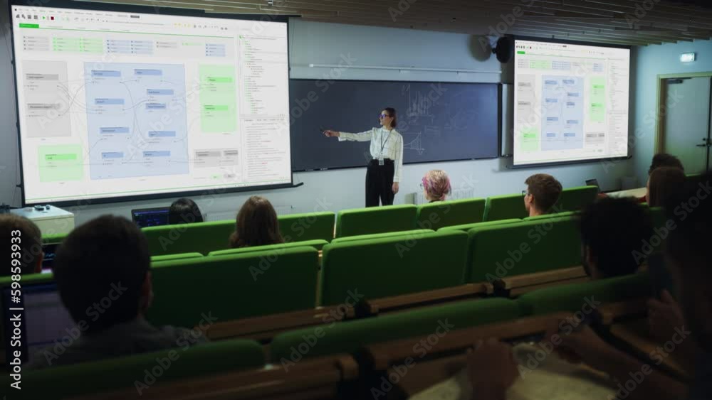 Young University Professor Explaining a Web Development Project to a ...