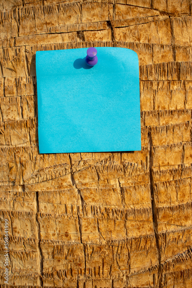 vertical blue square paper note with mapping pin on rought palm tree ...