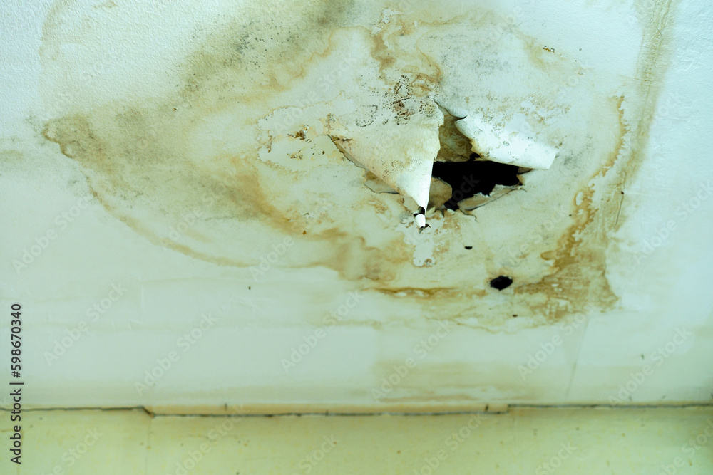 Broken ceiling structure inside the old building, ceiling fully and covered with a dust and ...