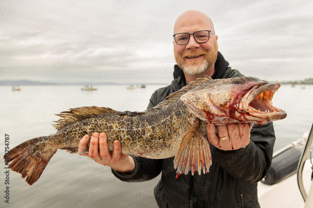 Happy ling cod fisherman holding a dead and bloody fish after his catch ...