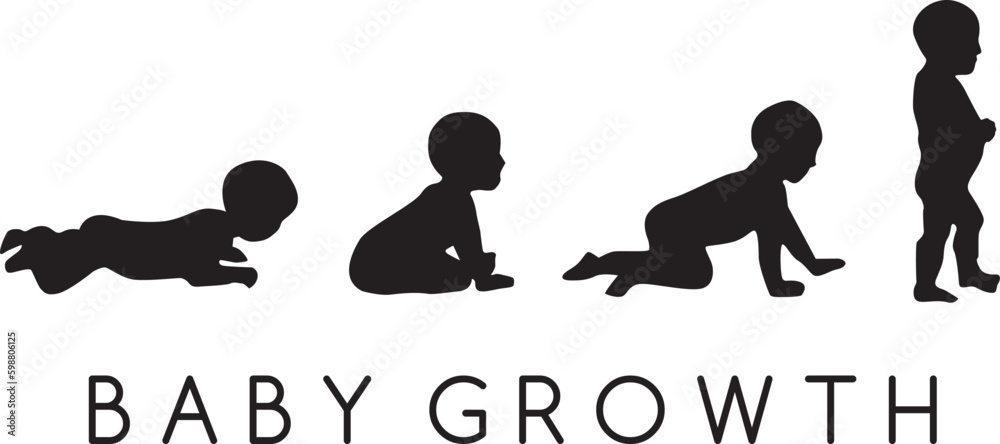 Vector illustration baby growth silhouette infographic isolated on ...