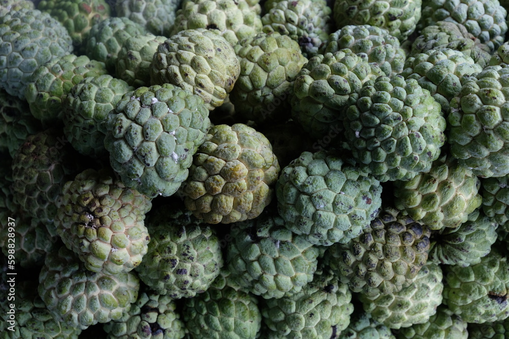 Srikaya or Sugar Apple is a plant belonging to the genus Annona which ...