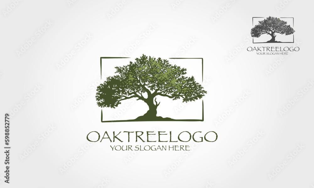 Oak Tree Vector Logo Template. Vector silhouette of a tree. Stock Vector | Adobe Stock