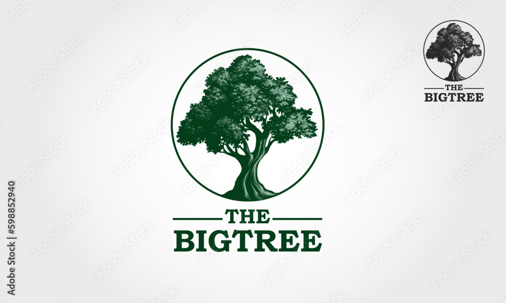 The Big tree logo illustration. Vector silhouette of a tree. Stock ...