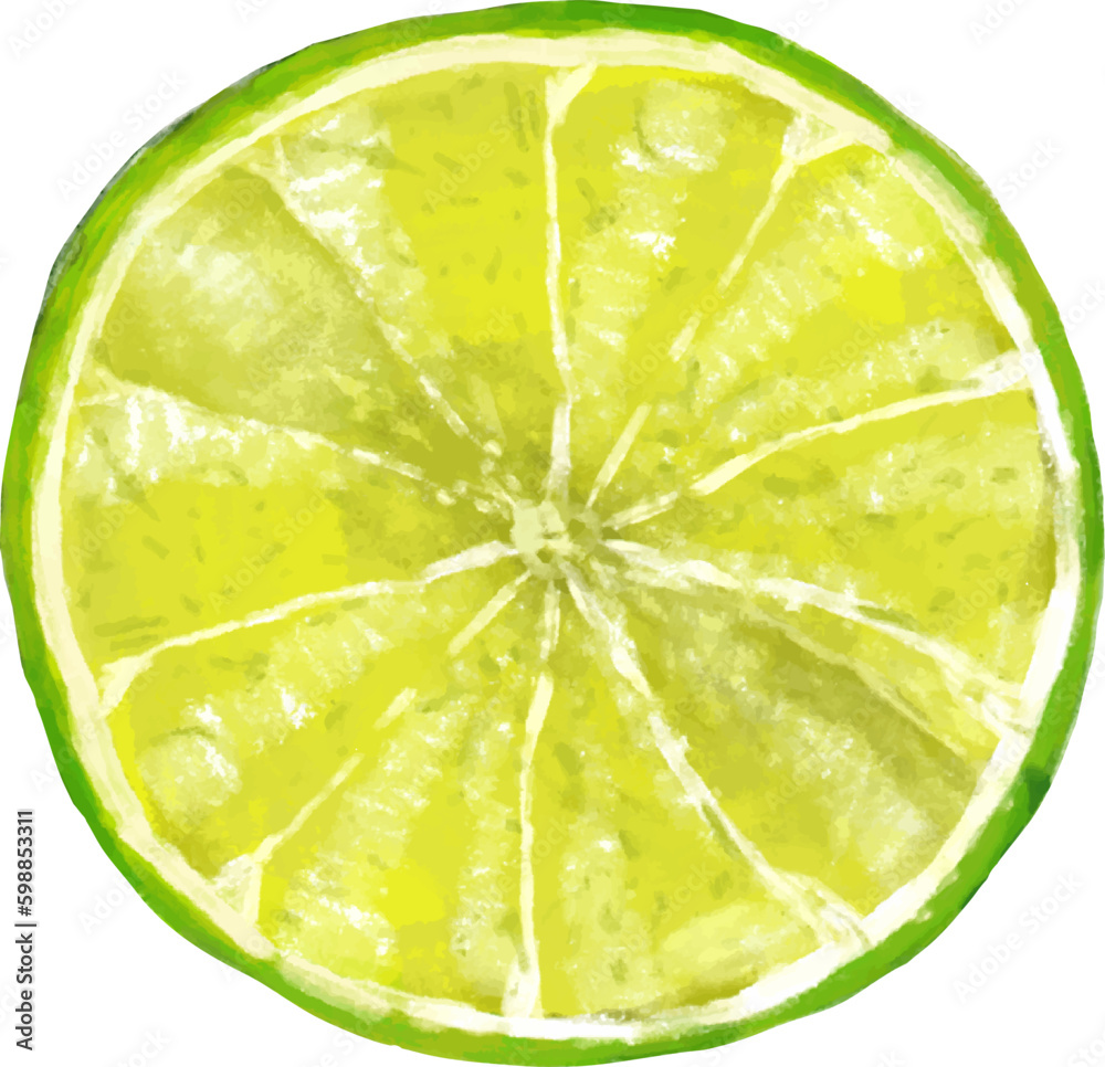 Vector drawing, Lemon, Sliced lemon, Vector Lemon, drawing Lemon Stock ...