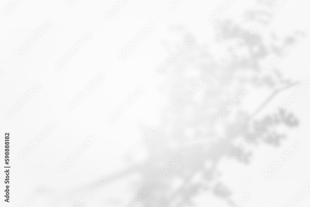 flower shadow overlay Stock Illustration | Adobe Stock